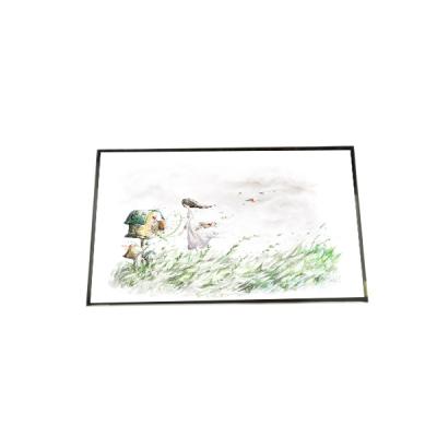 중국 B133HAN05.2 13.3인치 1920*1080 TFT-LCD 화면 판매용