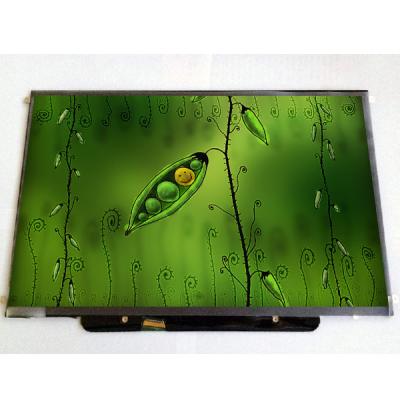 중국 B133EW07 V0 1280*800 13.3인치 TFT-LCD 화면 판매용
