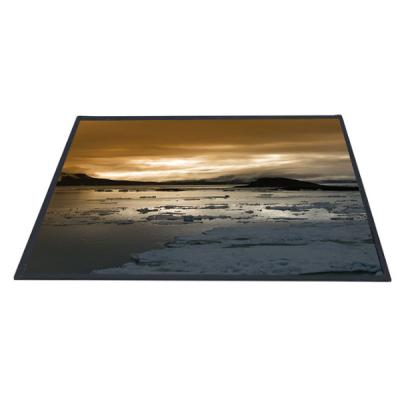 중국 B101UAT03.1 10.1인치 800:1 1920*1200 LCD 화면 판매용