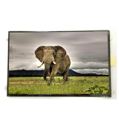 중국 B101UAN01.9 10.1인치 16.7M 52%NTSC LCD 화면 판매용