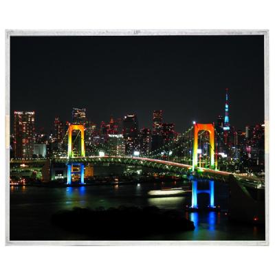 China LB190E02-SL01 19.0 Inch Industrial Panel IPS 60HZ LCD Monitor for LG Display for sale