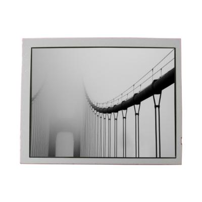 Cina LT065AC57400 LCD Display Display pannello LCD da 6,5 pollici in vendita