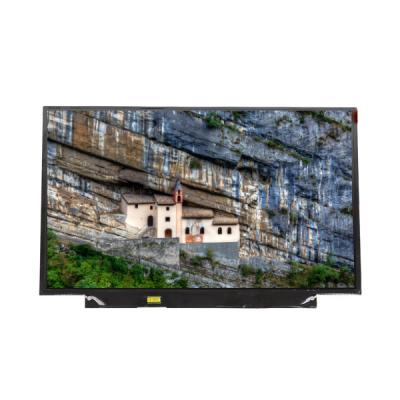 China LT133EE09500 13.3 inch LVDS 262K 45%NTSC LCD Screen panel for sale