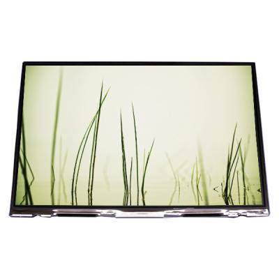 중국 LTD121EXTK 12.1인치 262K TFT-LCD 스크린 노트북용 판매용