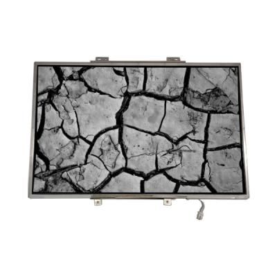 중국 LTD154EX0V 15.4인치 1280*800 TFT-LCD 화면 판매용