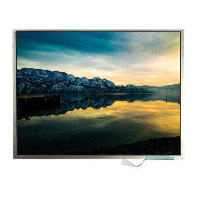 Cina LTM12H284 12,1 pollici 10204*768 schermo TFT-LCD in vendita