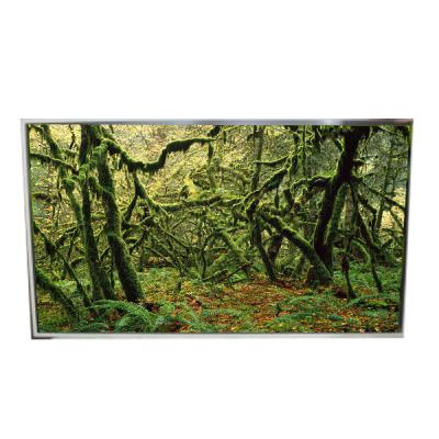 China LD490EPY-SHP1 51 pines 1920*1080 Pantalla LCD de 60 Hz para señalización digital en venta