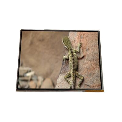 China AA142XC02 14,2 Zoll 1024*768 TFT-LCD-Bildschirm für Laptop zu verkaufen