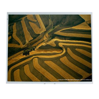 Cina LM171W02-A4K2 17,1 pollici 1440*900 display LCD TFT in vendita