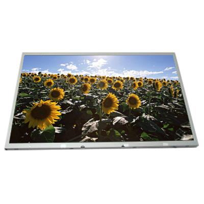 Cina LM190E02-A4K7 19.0 pollici pannello LCD 1280*1024 display LCD in vendita