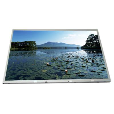Cina LM190E08-TLA1 Nuovo display LCD da 19,0 pollici in vendita