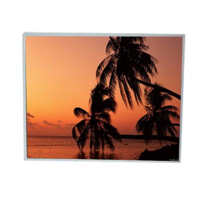 Cina LM195WX1-SLD1 19,5 pollici TFT LCD Screen 1440*900 LCD Panel LVDS in vendita