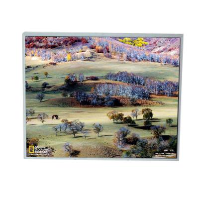 Cina LM200WD1-TLA9 Display LCD TFT da 20,0 pollici 1600*900 in vendita