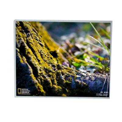 Cina LM200WD3-TLF2 20,0 pollici Modulo schermo LCD 1600*900 per LG in vendita