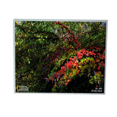 China LM201U1-A3 20.1 inch 1600*1200 LCD Display Panel Modules for sale