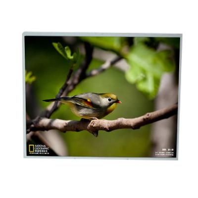 Cina LM201U1-A3M1 20,1 pollici 1600*1200 schermo LCD in vendita