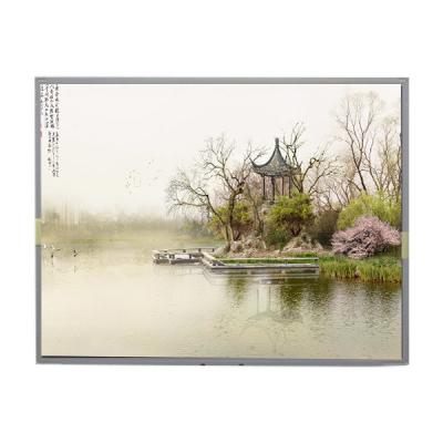 Cina LM201W01-A6K1 Display LCD da 20,1 pollici 1680*1050 in vendita