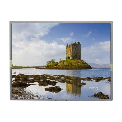 Cina LM201W01-SLA3 Modulo LCD TFT da 20,1 pollici 1680*1050 in vendita