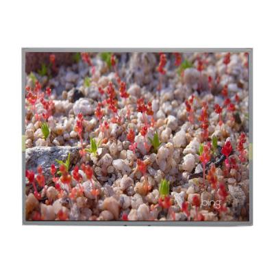 Cina LM2011-SLWE01 Original 20,1 pollici 1680*1050 schermo LCD in vendita