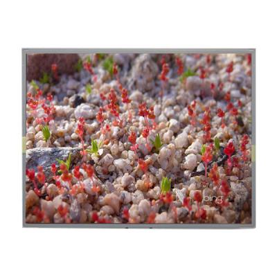 Cina LM201WE2-SLBC TFT LCD Module pannello LCD da 20,1 pollici per LG in vendita