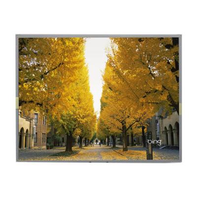 Cina LM2013-WETLB1 20,1 pollici schermo LCD Display LCD 1680*1050 in vendita