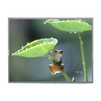 Cina LM2013-WETLF1 Originale in magazzino 20,1 pollici schermo LCD in vendita