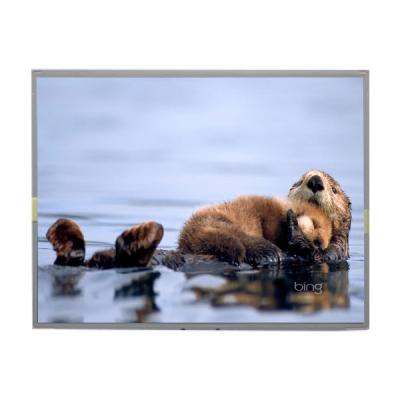 Cina LM2013-TLWEJ1 20,1 pollici 1680*1050 display LCD TFT in vendita