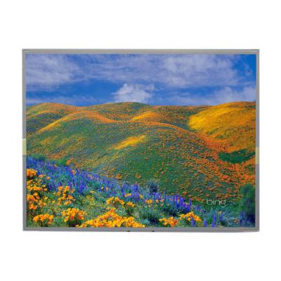 Cina LM2013-WETLK3 Modulo LCD TFT da 20,1 pollici 1680*1050 in vendita