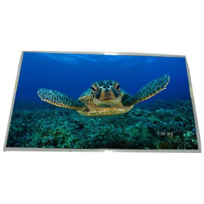 Cina LMWE2014-TLB2 Display LCD da 20,1 pollici 1680*1050 TFT in vendita