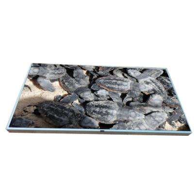 Cina LM215WF2-SLA1 Originale in stock Display LCD da 21,5 pollici in vendita