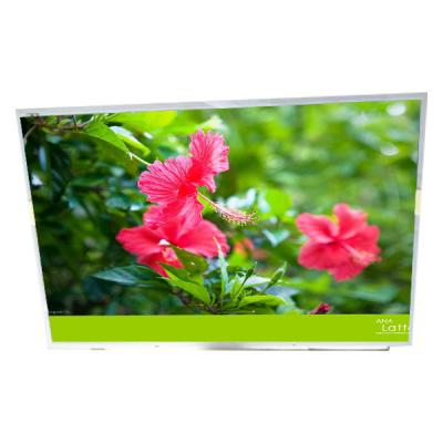 Cina LM220WE1-TLP1 schermo LCD da 22,0 pollici display LCD 1680*1050 in vendita