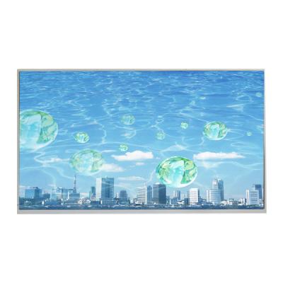 Cina LM238WF2-SSD1 23.8 pollici 1920*1080 LCD Display Panel in vendita
