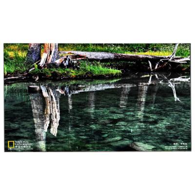 China LM238WF5-SSE4 23.8 pulgadas 1920*1080 Panel táctil LCD en venta