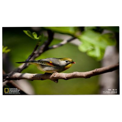 China LM238WF5-SSF1 23.8 pulgadas FHD IPS pantalla táctil para HP en venta