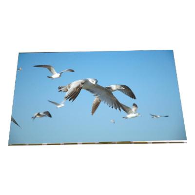 Cina LM240WU2-SLA1 24,0 pollici 1920*1200 LCD Display Module per monitor desktop in vendita