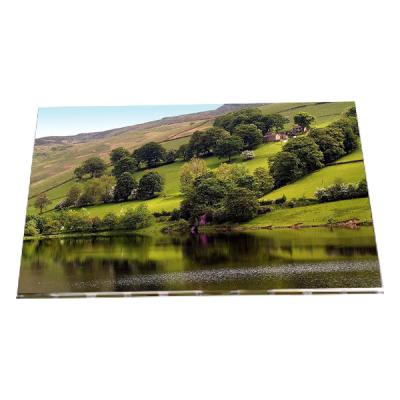 China LM240WU2-SLB2 24.0 inch 1920*1200 LCD Screen Module for sale