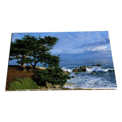 China LM240WU3-TLA1 24.0 inch 1920*1200 LCD Panel Module for Desktop Monitor for sale