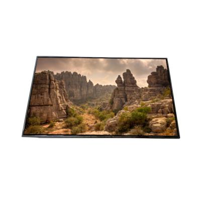 Cina AV101HDM-N11 10,1 pollici schermo LCD Display LCD MODULO in vendita