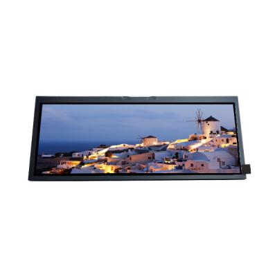 Cina AV103Y0Q-N10 10,3 pollici LCD Monitor LCD in vendita