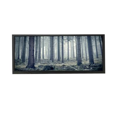 Cina AV103Z7M-N13-3850 10.3 pollici LCD Monitor LCD MODULO in vendita