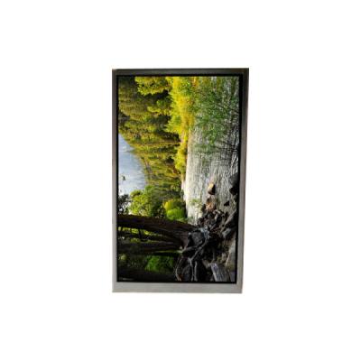 Cina BA050WQ2-200 5,0 pollici 480 * 272 schermo LCD per la navigazione portatile in vendita