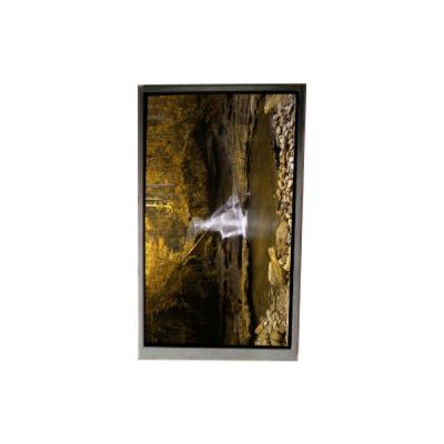 Cina BA050WQ4-100 5,0 pollici 480*272 schermo LCD per la navigazione portatile in vendita