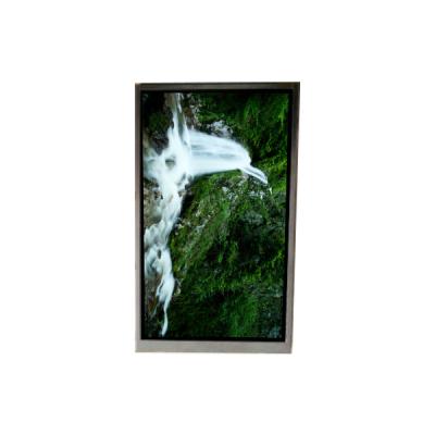 Cina BA060WV1-100 6,0 pollici 480*854 schermo LCD per telefono cellulare in vendita