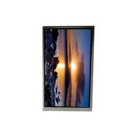 Cina BA060WV3-100 6,0 pollici 480*854 schermo LCD per telefono cellulare in vendita