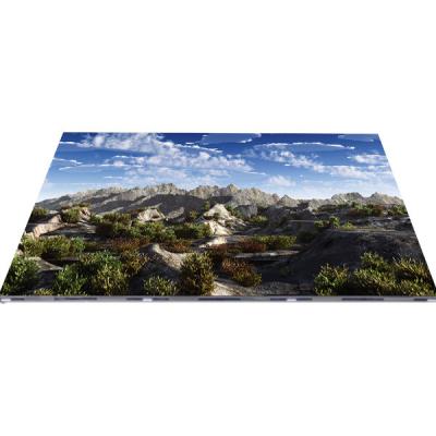 Cina LM270WF9-SSC1 27.0 pollici 1920*1080 IPS Display LCD in vendita