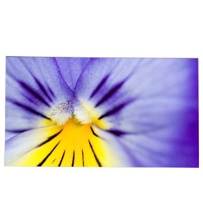 Cina LM270WQ5-SSB1 27.0 pollici schermo LCD 2560*1440 pannello LCD in vendita