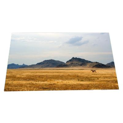 Cina LM270WQD-SSB1 Modulo LCD da 27.0 pollici per computer in vendita