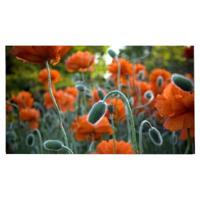 Cina LM270WR8-SSC1 27.0 pollici Pannello LCD 3840*2160 Display LCD in vendita