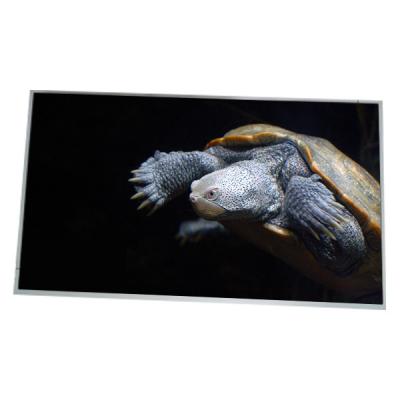 Cina LM300W01-STA2 Nuovo schermo LCD da 30 pollici 2560*1600 in vendita