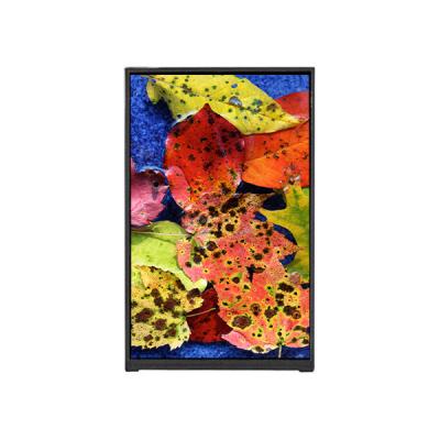 중국 BP080WX2-200 8.0 인치 LCD 화면 LCD 디스플레이 모듈 판매용